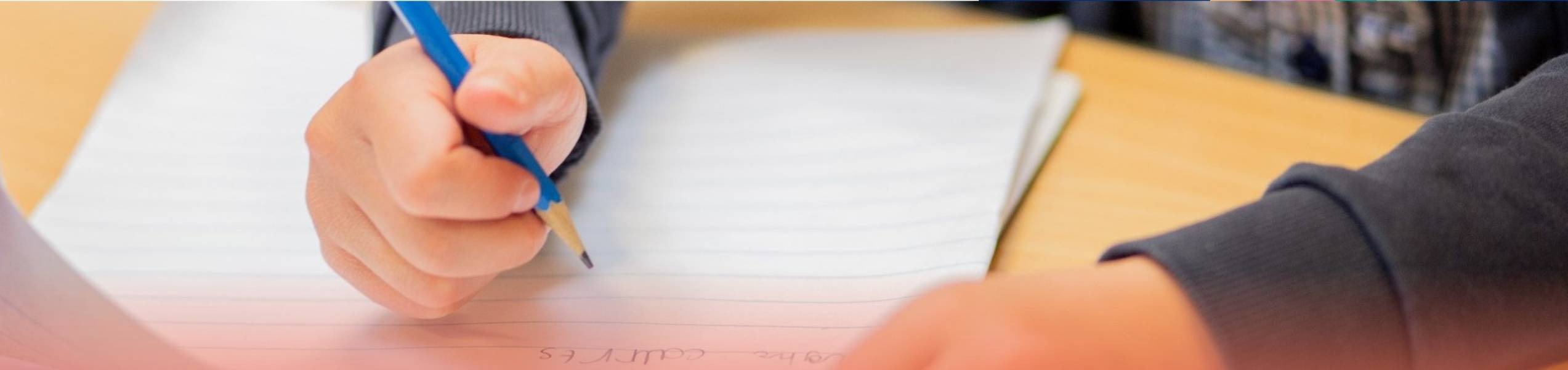 Midday Assistant at Our Lady of Mount Carmel Catholic Primary | MyNewTerm